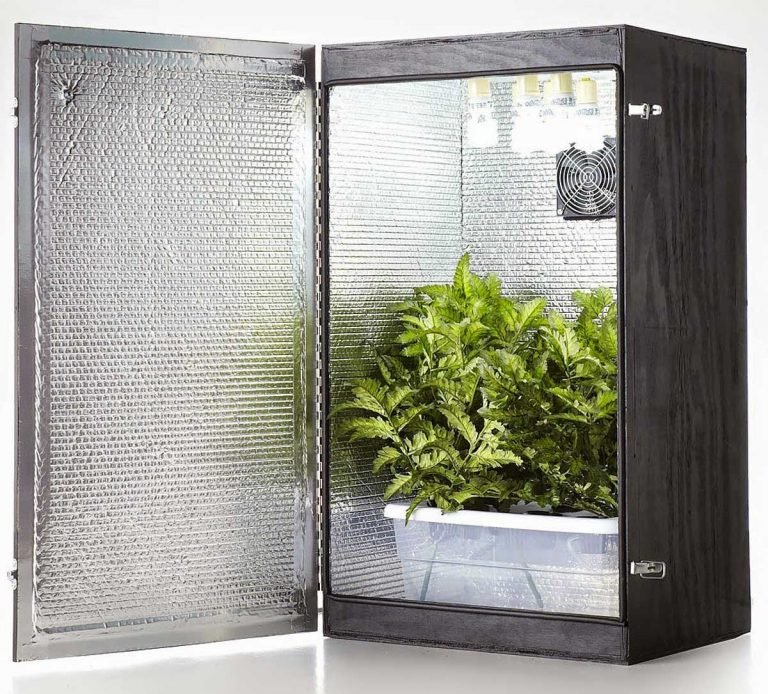 Advantages & Buying Guide for top 3 Grow boxes of 2021 - TlwaStoria