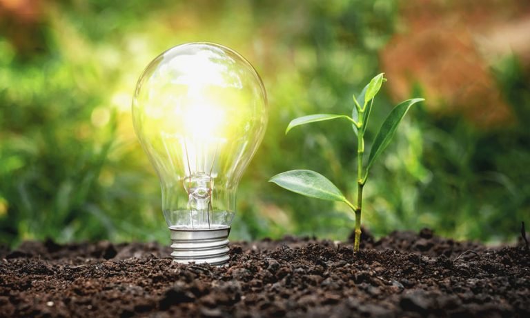 A Beginner's Guide to Understanding Bioenergy - TlwaStoria